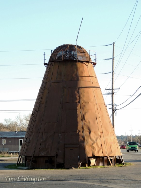 teepee burner | THE FORESTER ARTIST